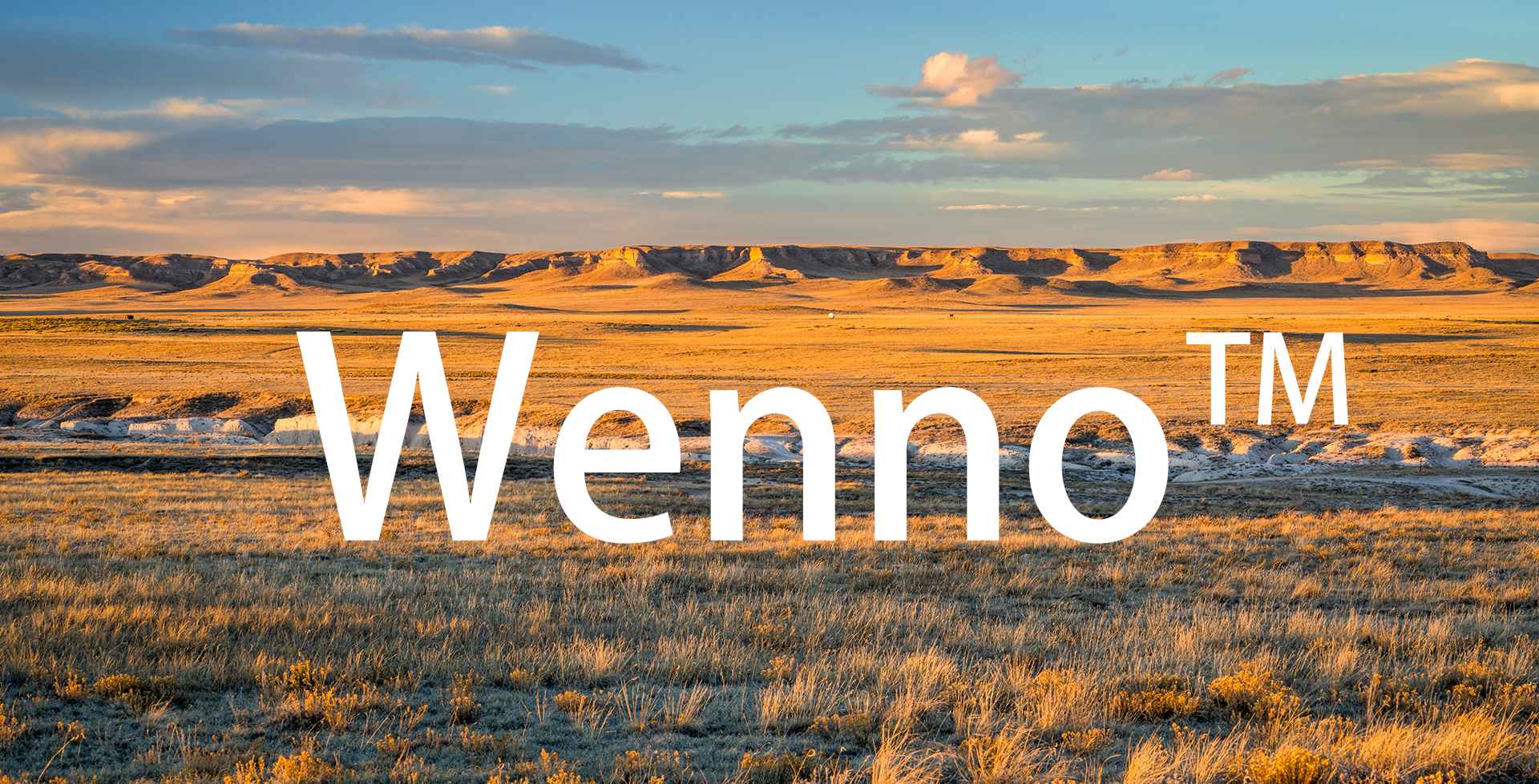 wenno-web